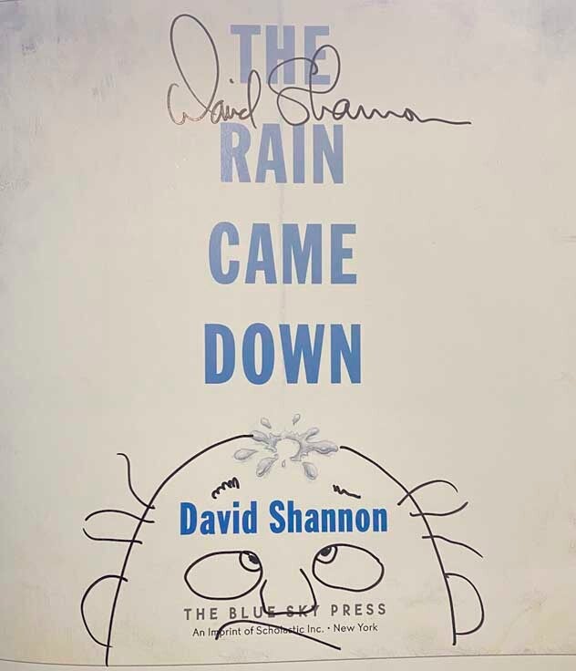 The Rain Came Down Signed First Edition | David SHANNON